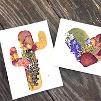 Arizona Pinners Conference